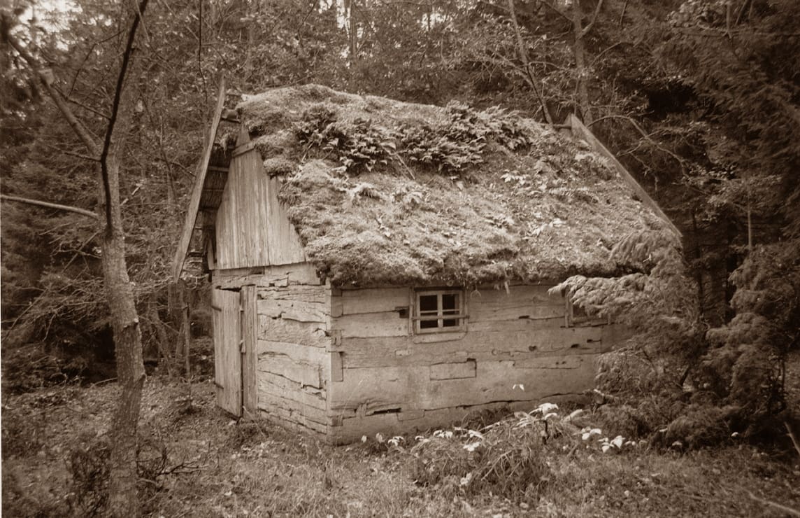 91. Trellfelket och temtebesa